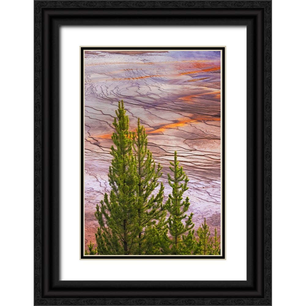 Jones, Adam 11x14 Black Ornate Wood Framed with Double Matting Museum ...