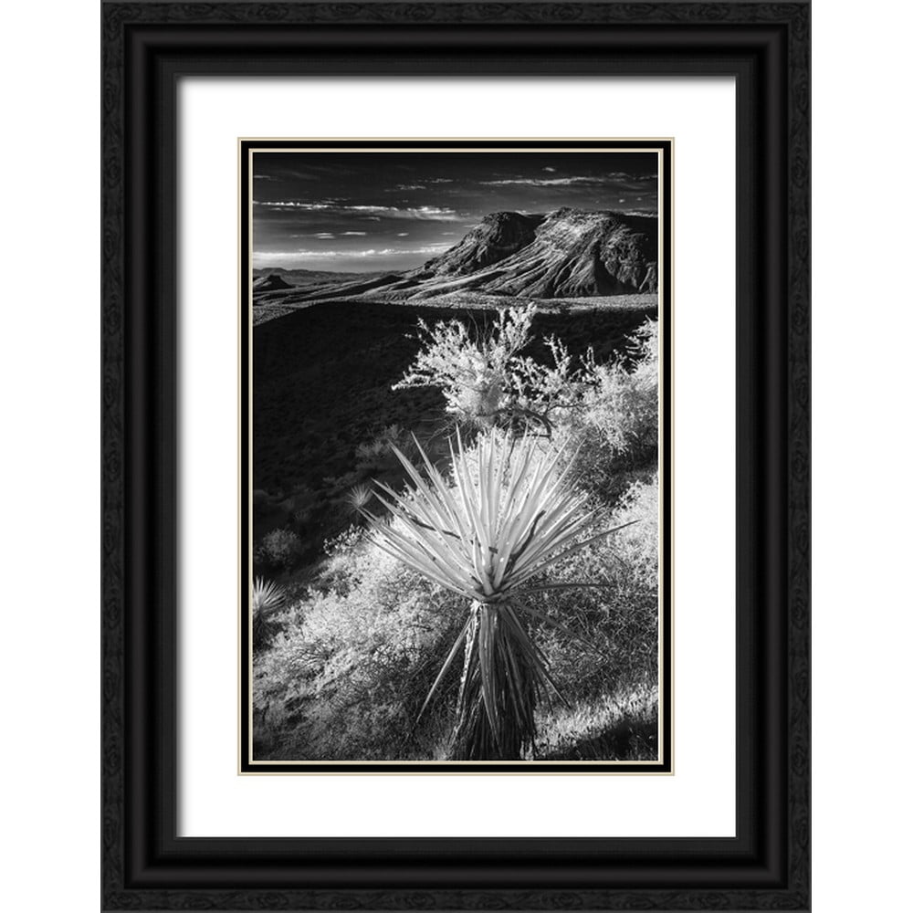 Jones, Adam 11x14 Black Ornate Wood Framed with Double Matting Museum ...