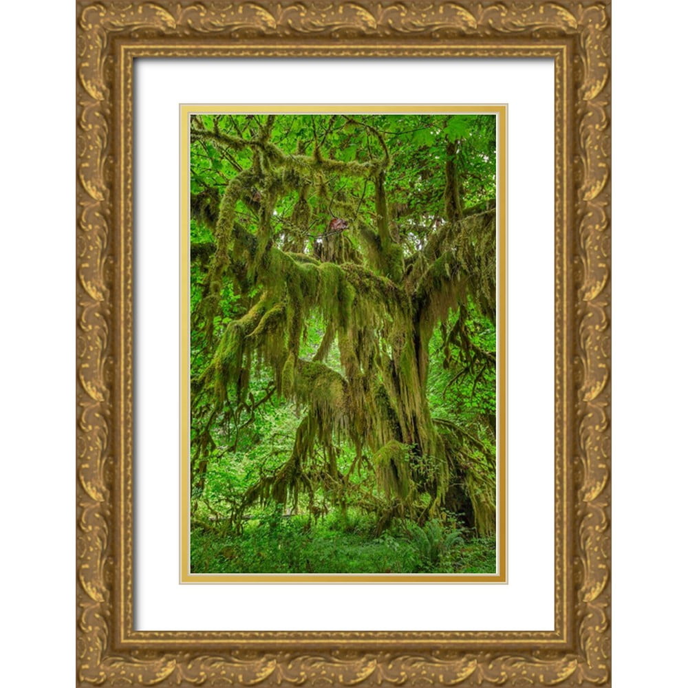 Jones, Adam 11x14 Gold Ornate Wood Framed with Double Matting Museum ...