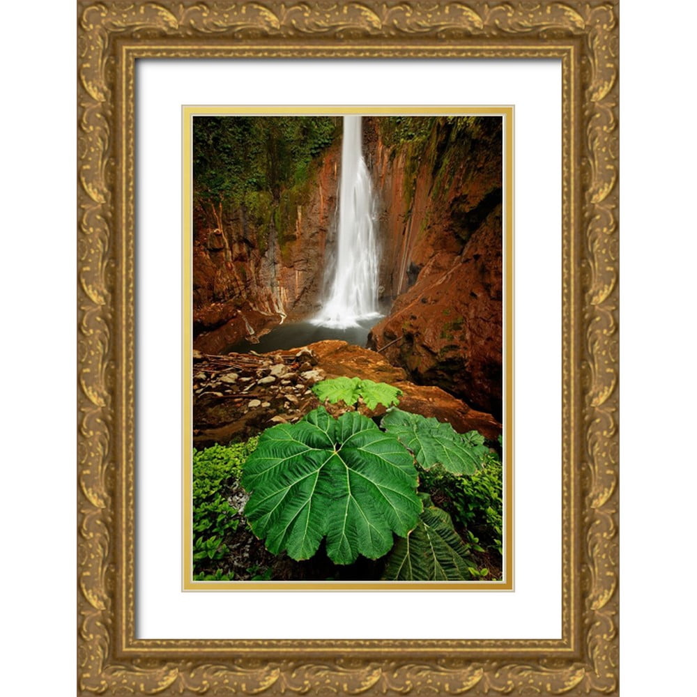 Jones, Adam 11x14 Gold Ornate Wood Framed with Double Matting Museum ...