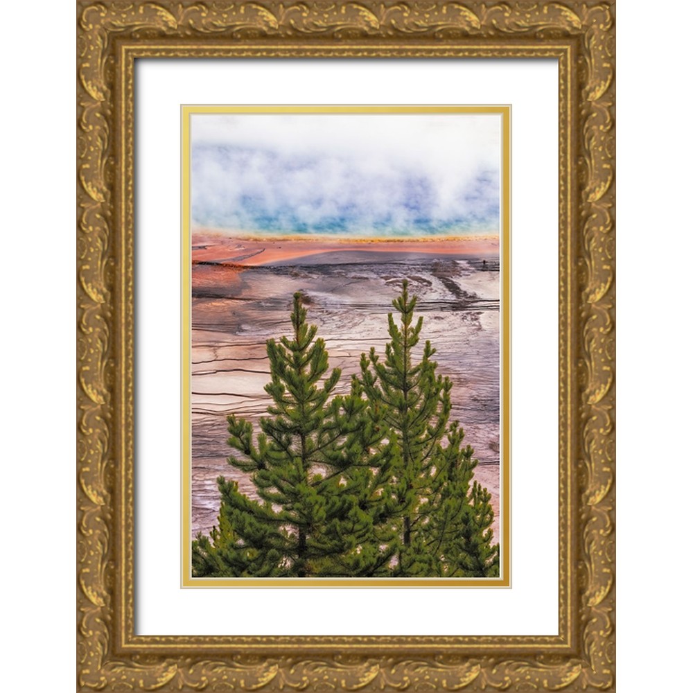 Jones, Adam 11x14 Gold Ornate Wood Framed with Double Matting Museum ...