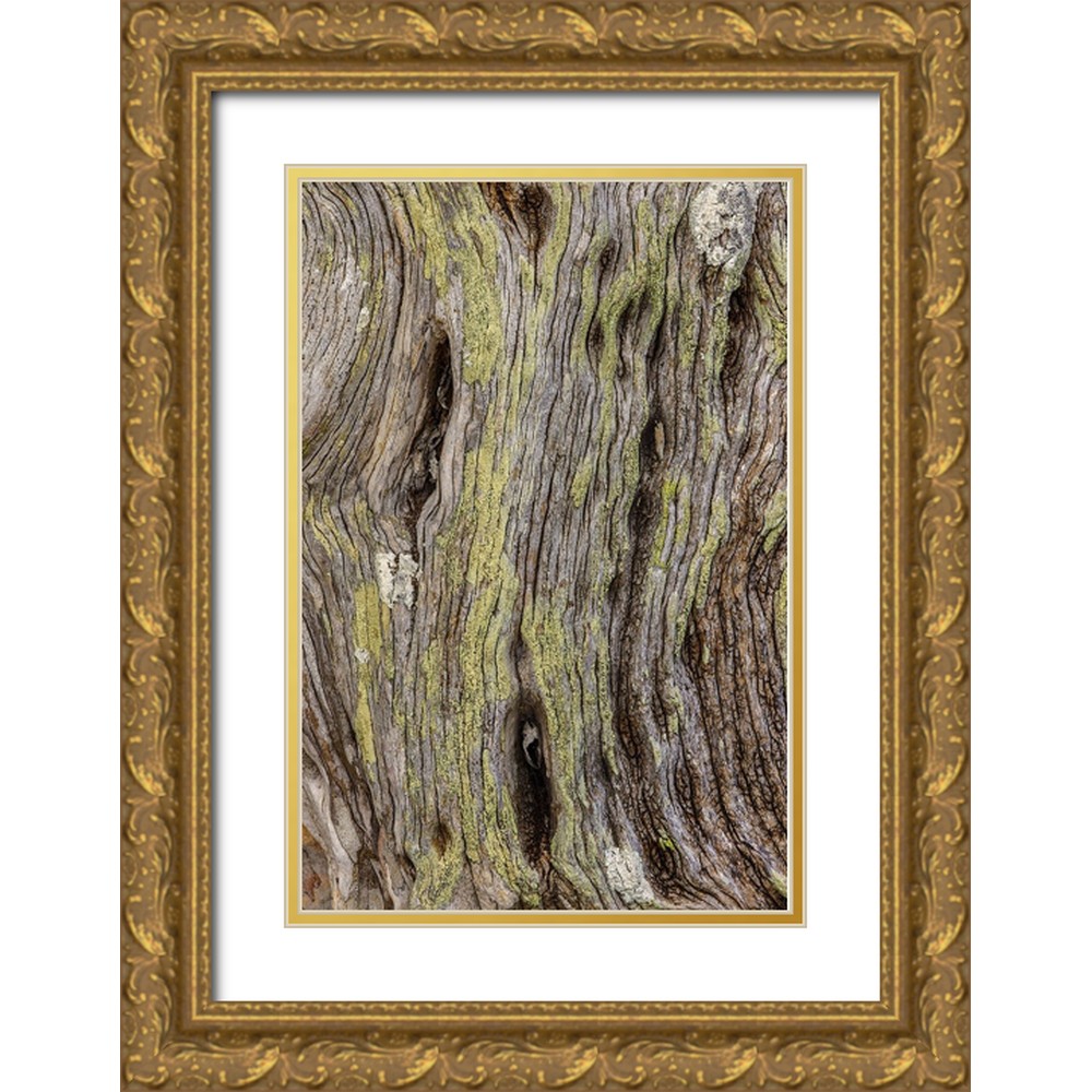 Jones, Adam 11x14 Gold Ornate Wood Framed with Double Matting Museum ...