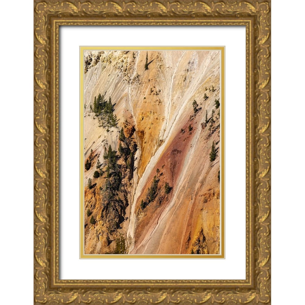 Jones, Adam 11x14 Gold Ornate Wood Framed with Double Matting Museum ...