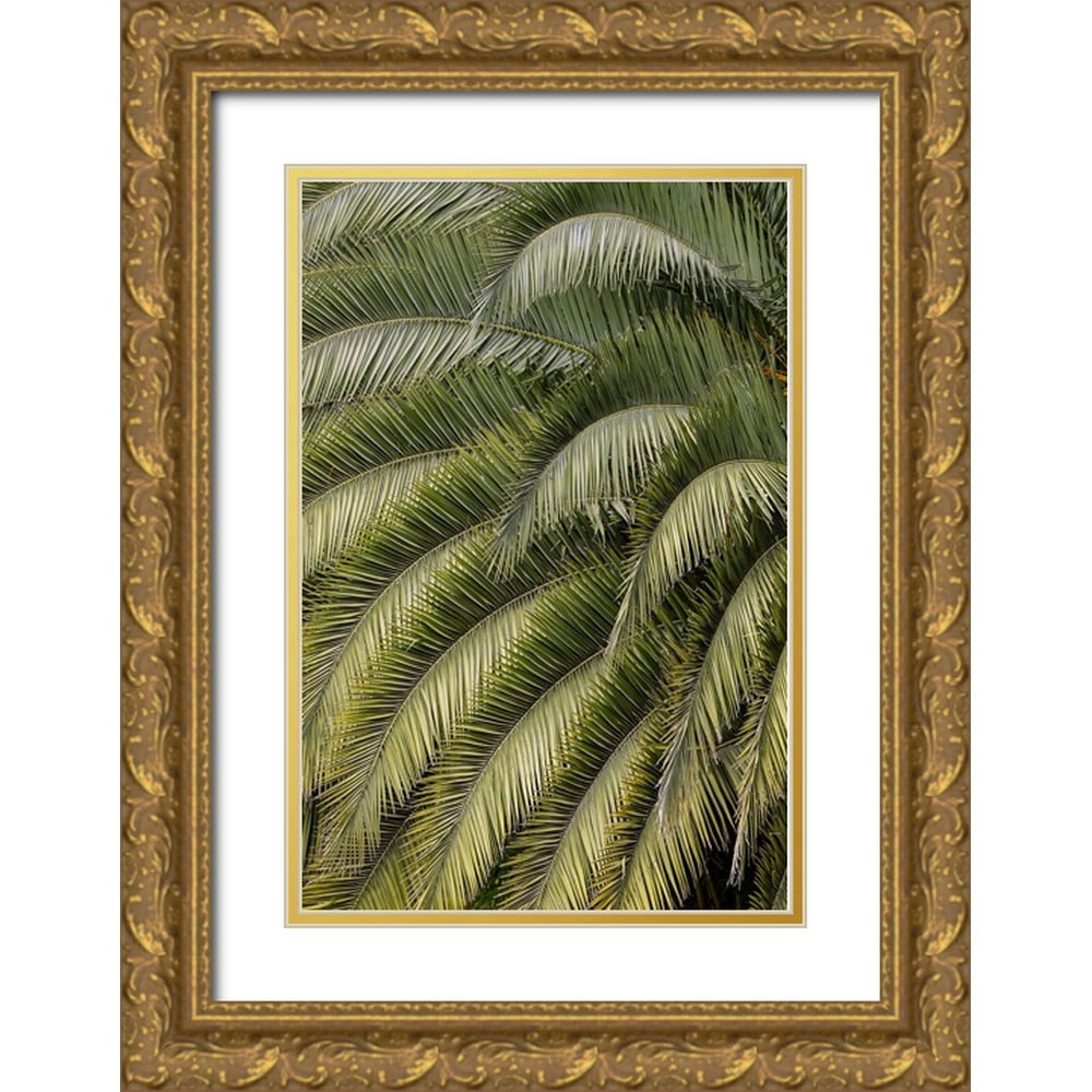 Jones, Adam 11x14 Gold Ornate Wood Framed with Double Matting Museum ...