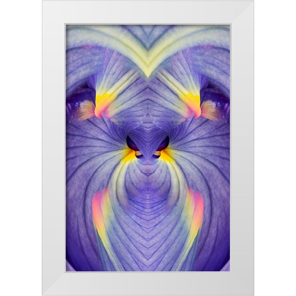 Jones, Adam 11x14 White Modern Wood Framed Museum Art Print Titled ...