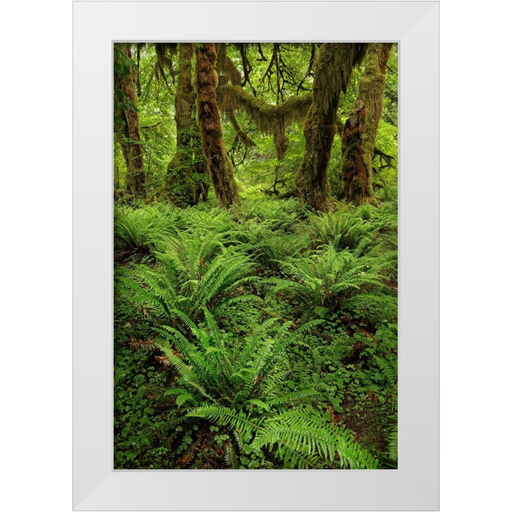 Jones, Adam 11x14 White Modern Wood Framed Museum Art Print Titled ...