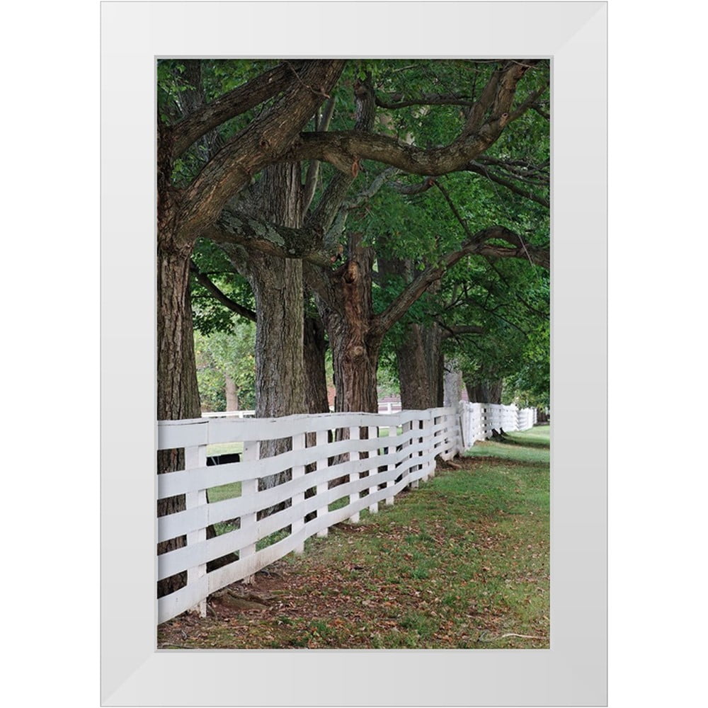 Jones, Adam 11x14 White Modern Wood Framed Museum Art Print Titled - Gate and white wooden fence ...