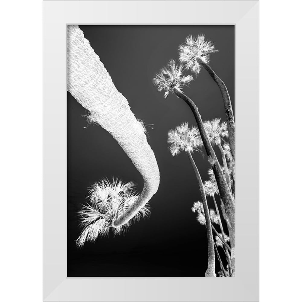 Jones, Adam 11x14 White Modern Wood Framed Museum Art Print Titled ...
