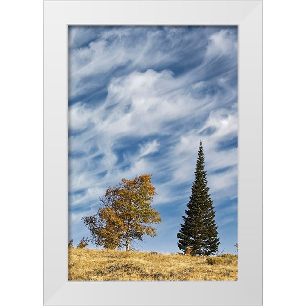 Jones, Adam 11x14 White Modern Wood Framed Museum Art Print Titled - Two trees on ridge and ...
