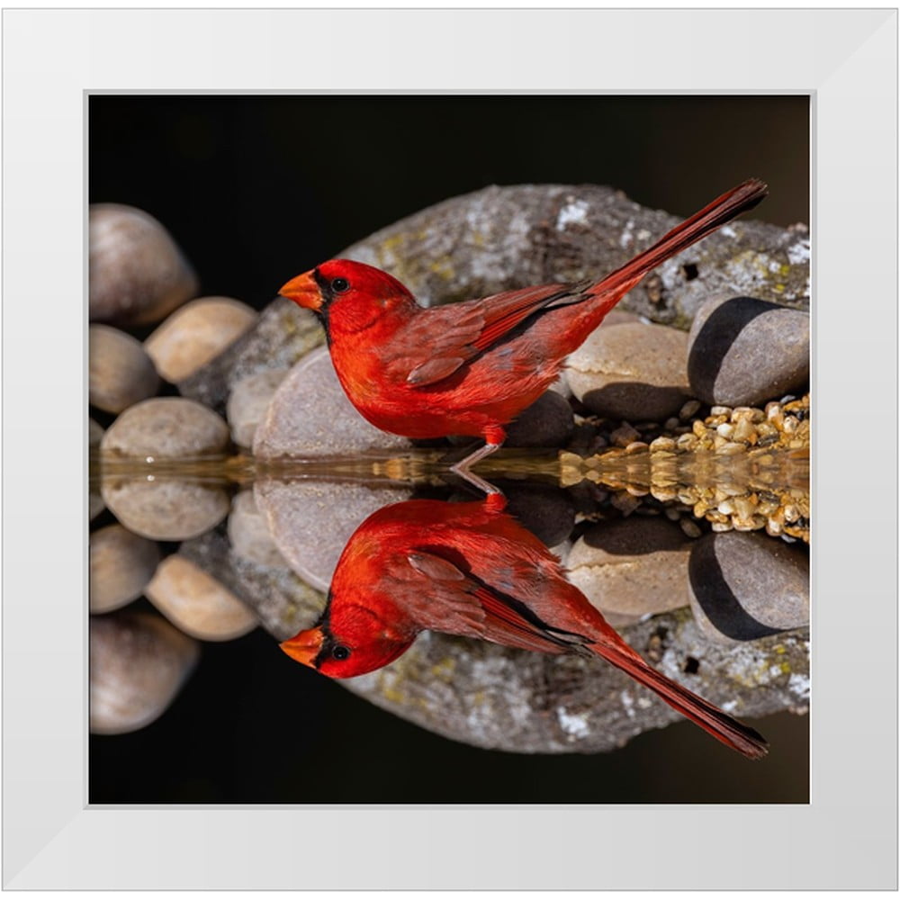 Jones, Adam 12x12 White Modern Wood Framed Museum Art Print Titled ...