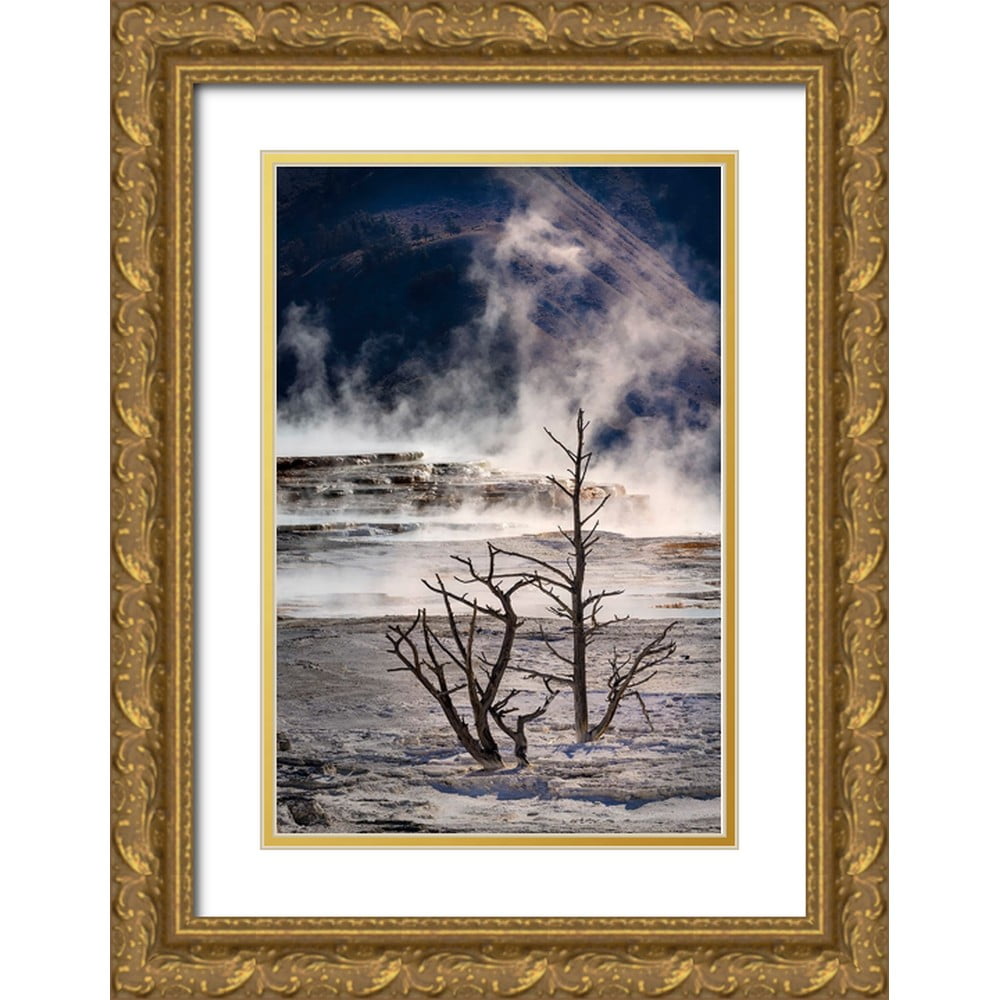 Jones, Adam 13x18 Gold Ornate Wood Framed with Double Matting Museum ...