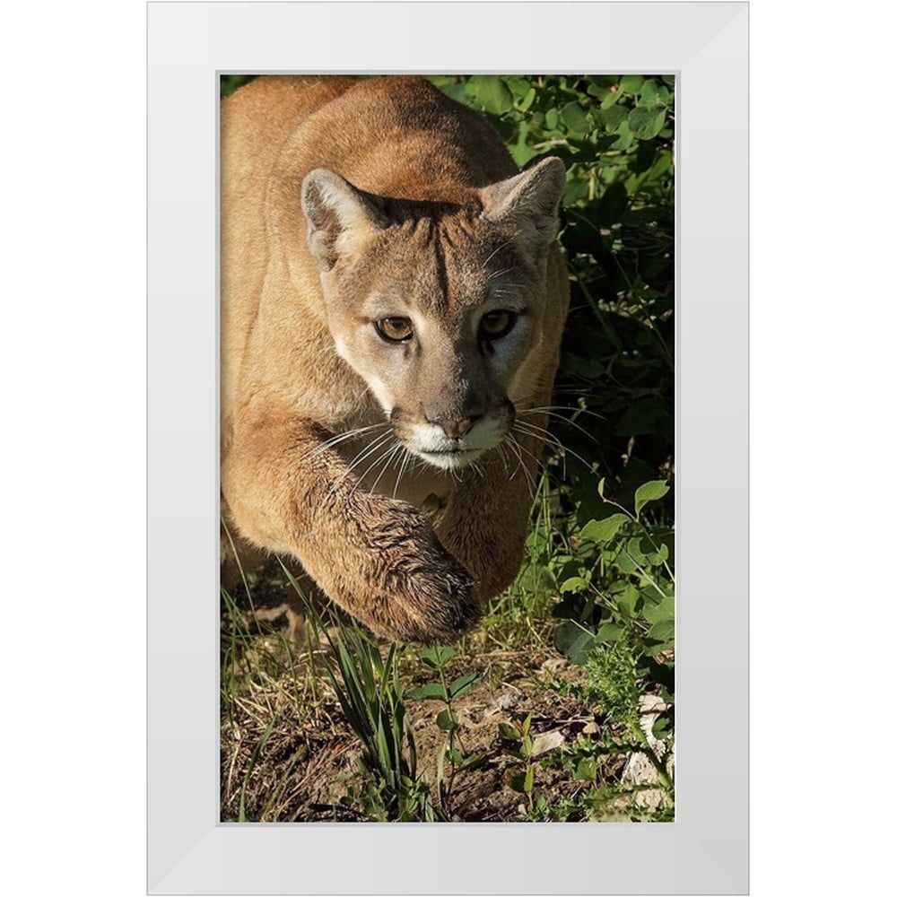 Jones, Adam 13x18 White Modern Wood Framed Museum Art Print Titled ...