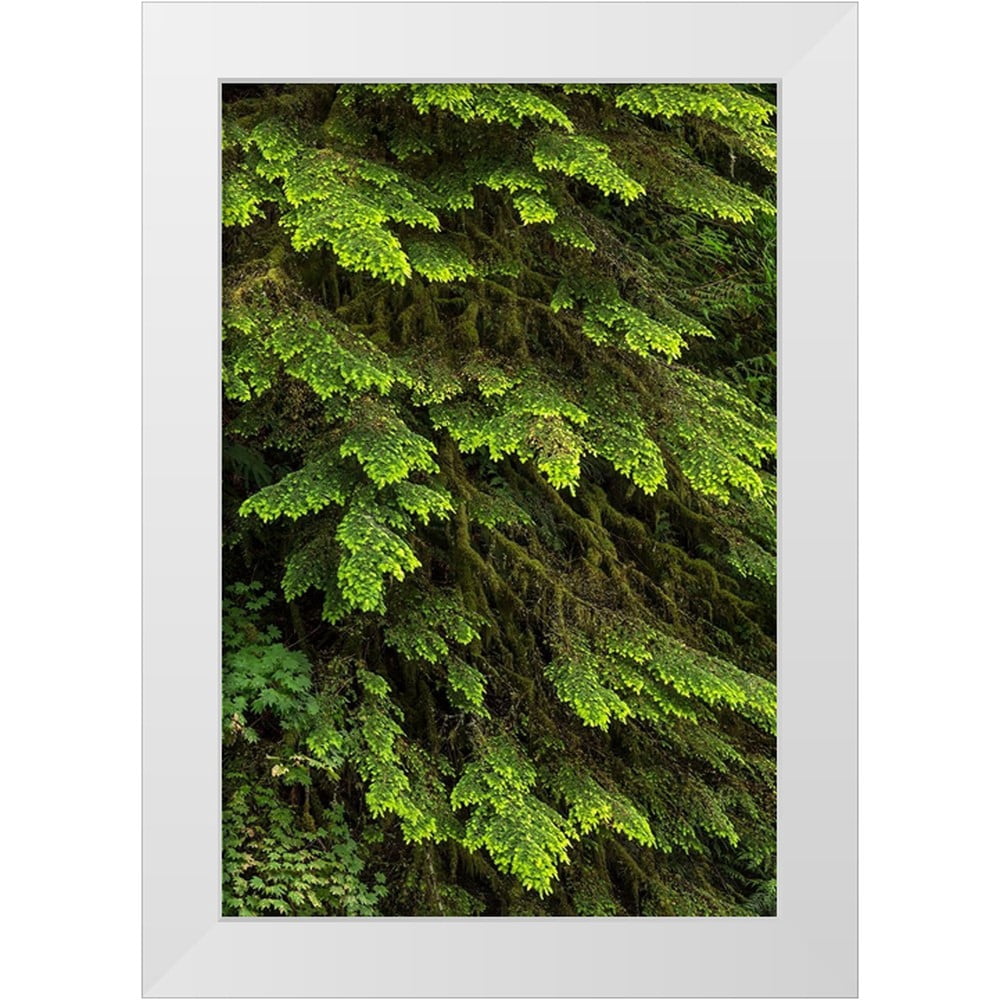 Jones, Adam 13x18 White Modern Wood Framed Museum Art Print Titled ...
