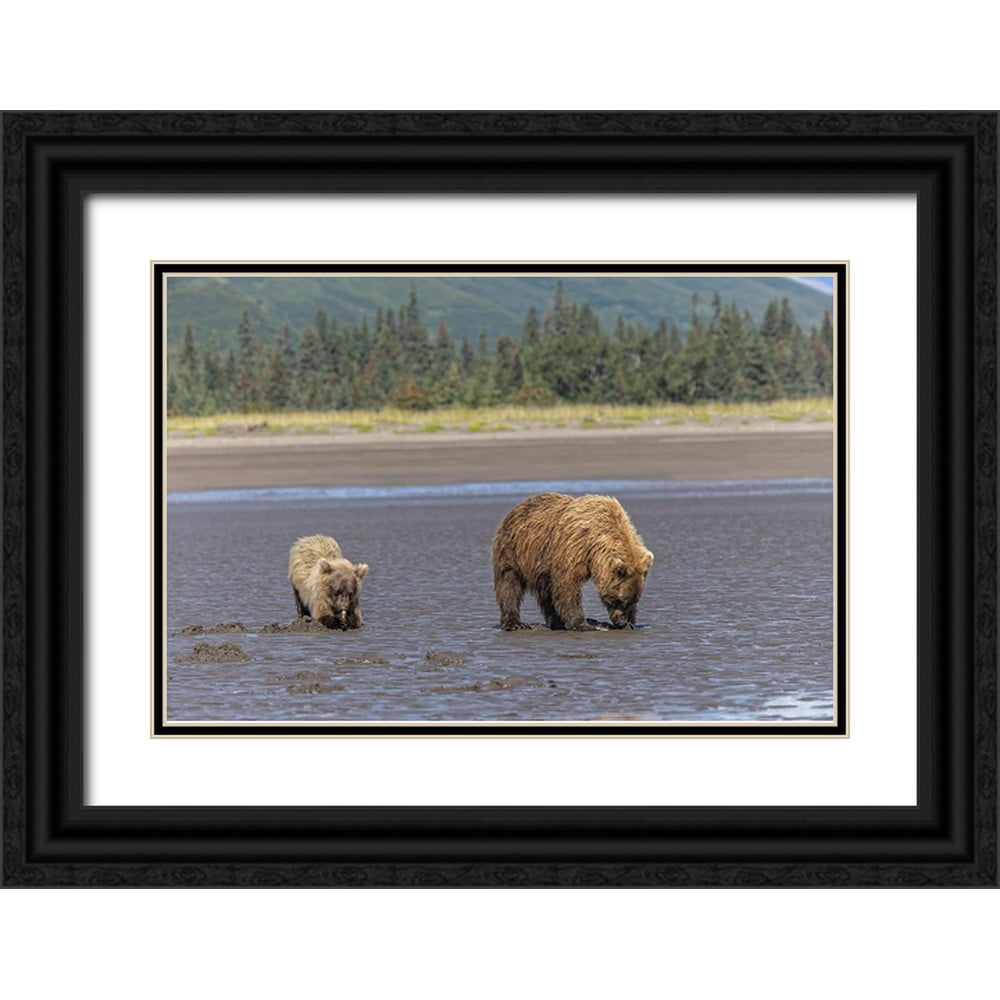 Jones, Adam 14x11 Black Ornate Wood Framed with Double Matting Museum ...
