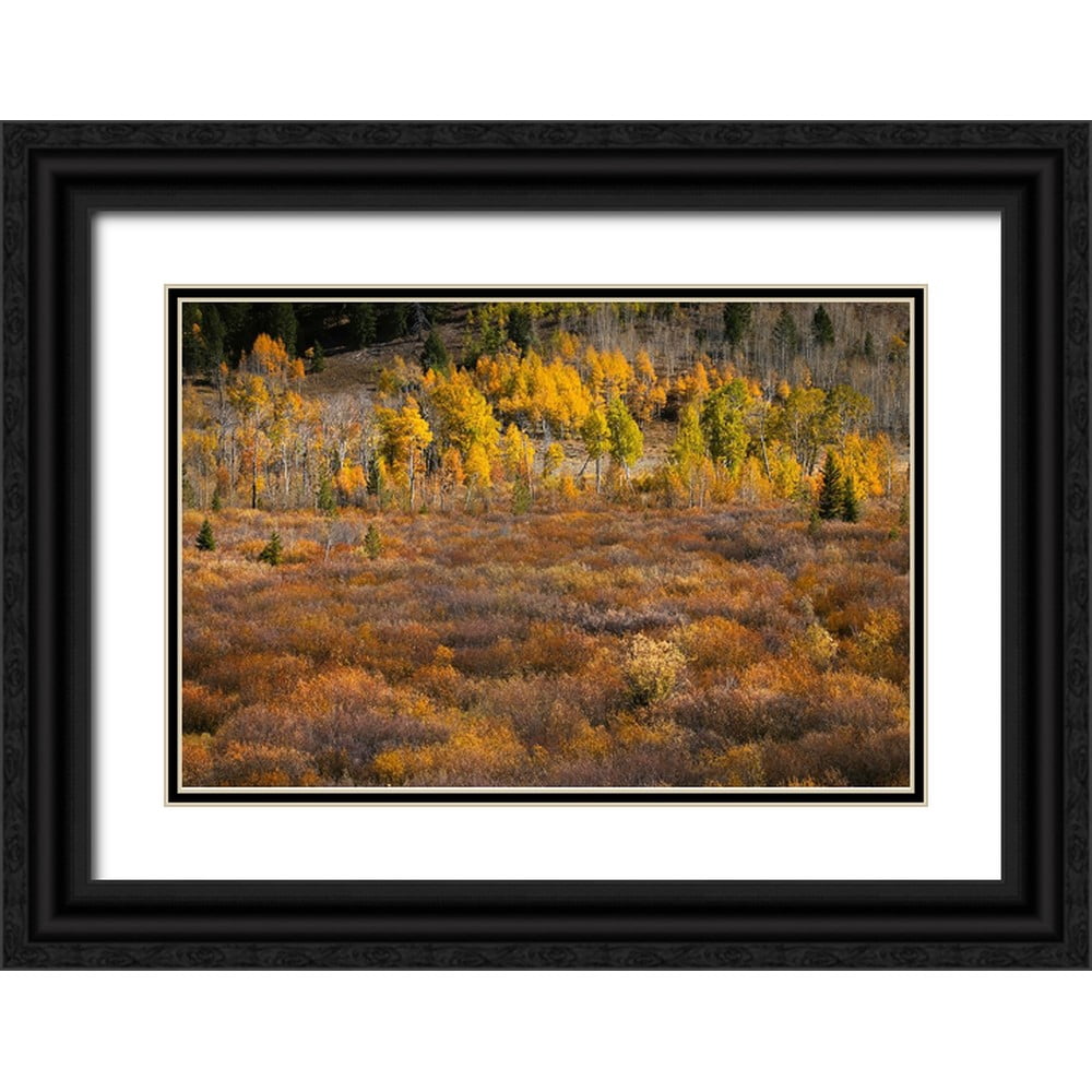 Jones, Adam 14x11 Black Ornate Wood Framed with Double Matting Museum ...