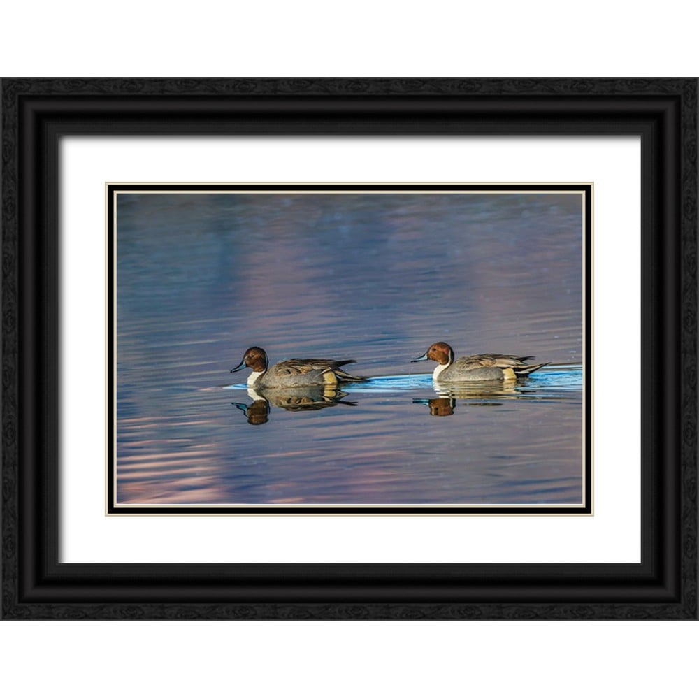Jones, Adam 14x11 Black Ornate Wood Framed with Double Matting Museum ...