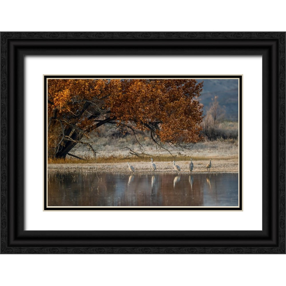 Jones, Adam 14x11 Black Ornate Wood Framed with Double Matting Museum ...