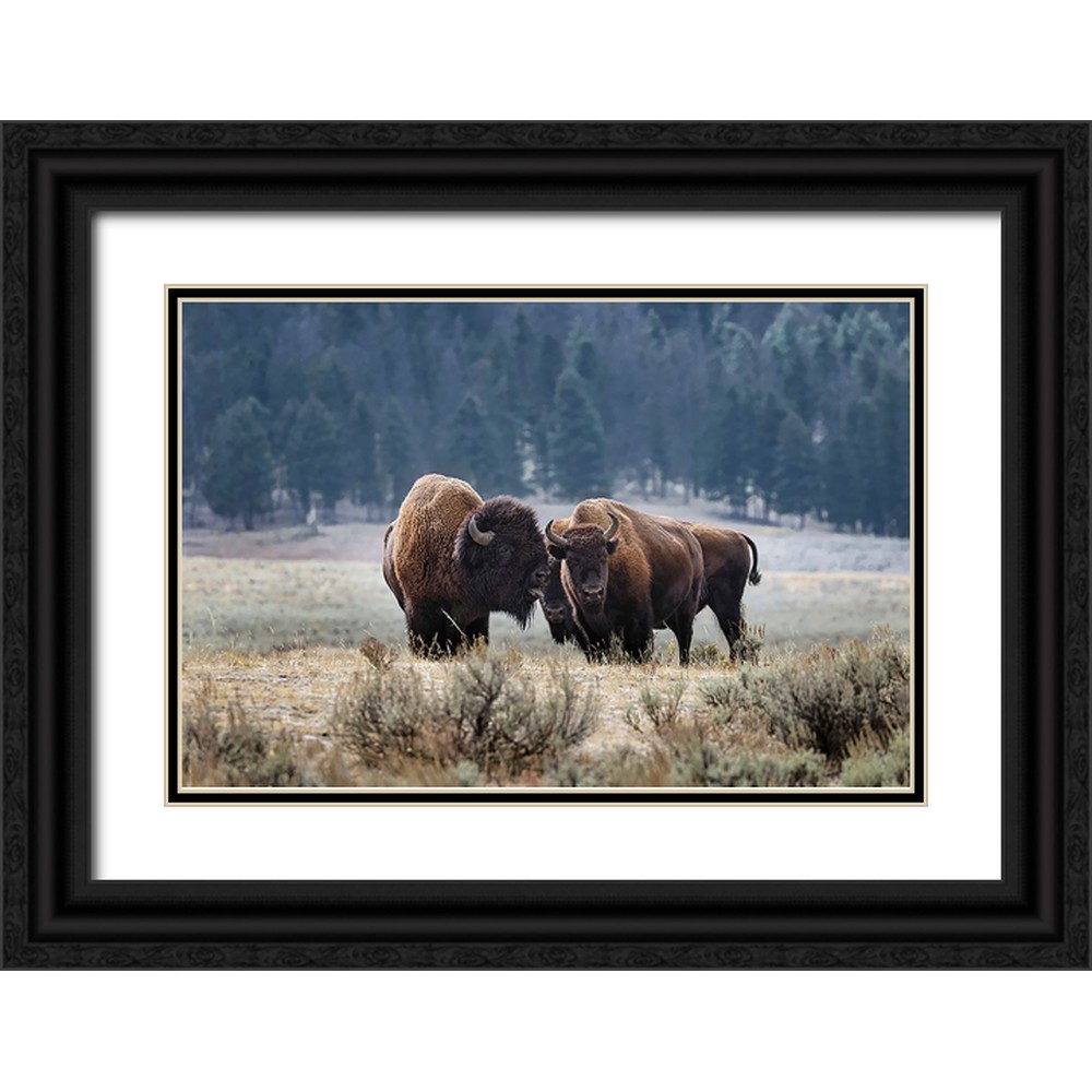 Jones, Adam 14x11 Black Ornate Wood Framed with Double Matting Museum ...