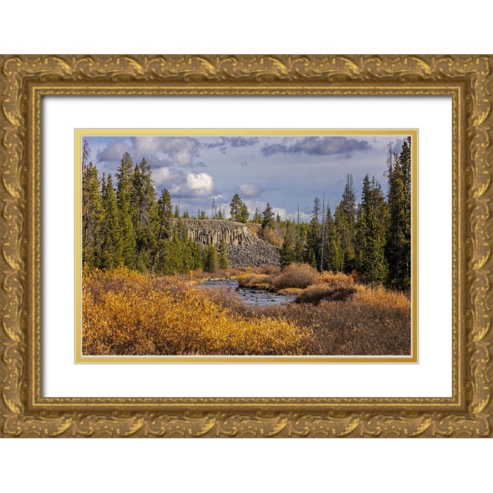 Jones, Adam 14x11 Gold Ornate Wood Framed with Double Matting Museum ...