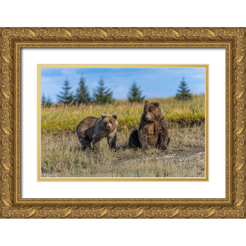 Jones, Adam 14x11 Gold Ornate Wood Framed with Double Matting Museum ...