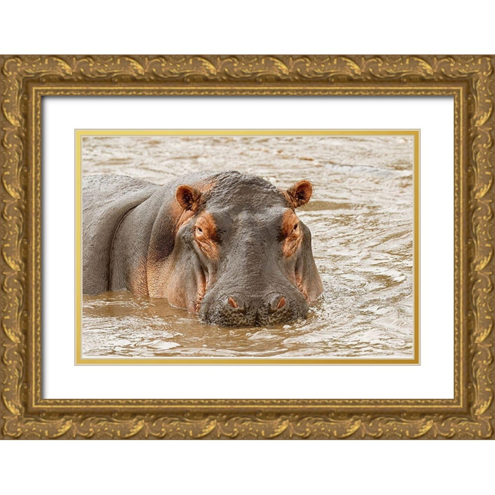 Jones, Adam 14x11 Gold Ornate Wood Framed with Double Matting Museum ...