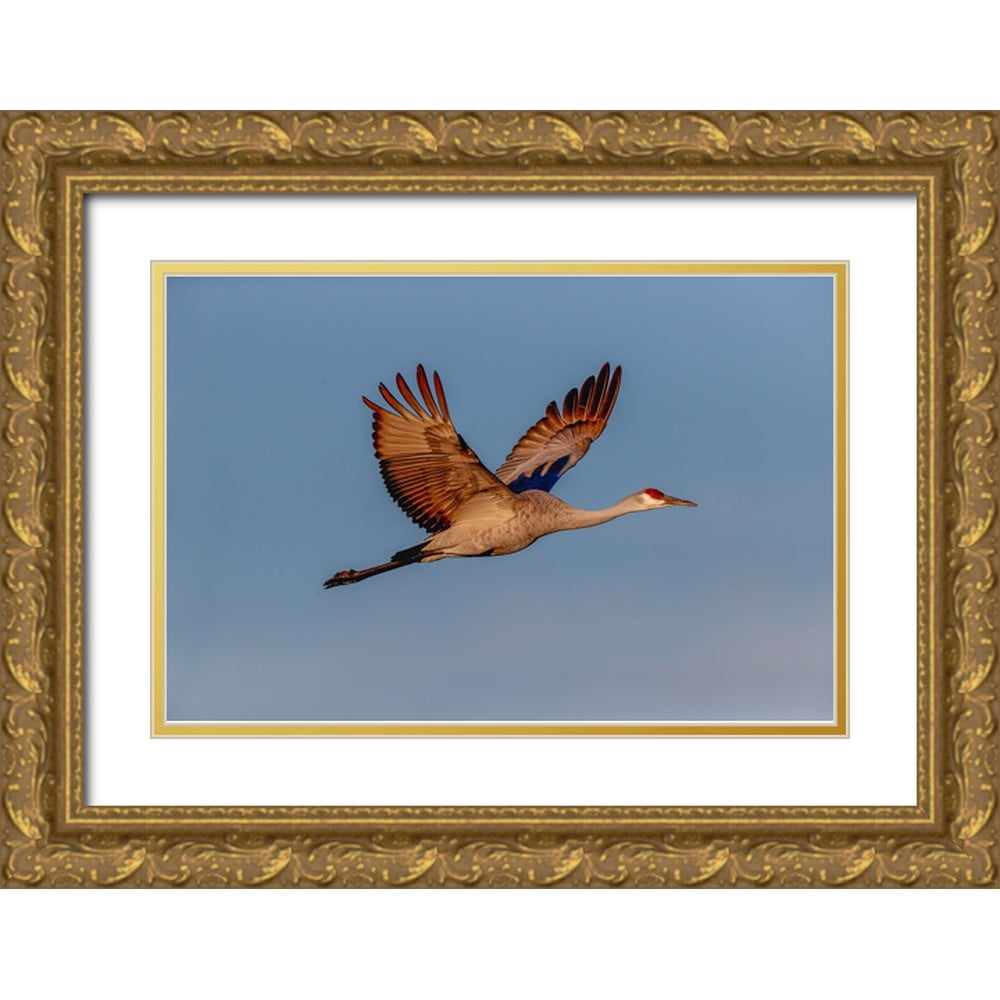 Jones, Adam 14x11 Gold Ornate Wood Framed with Double Matting Museum ...