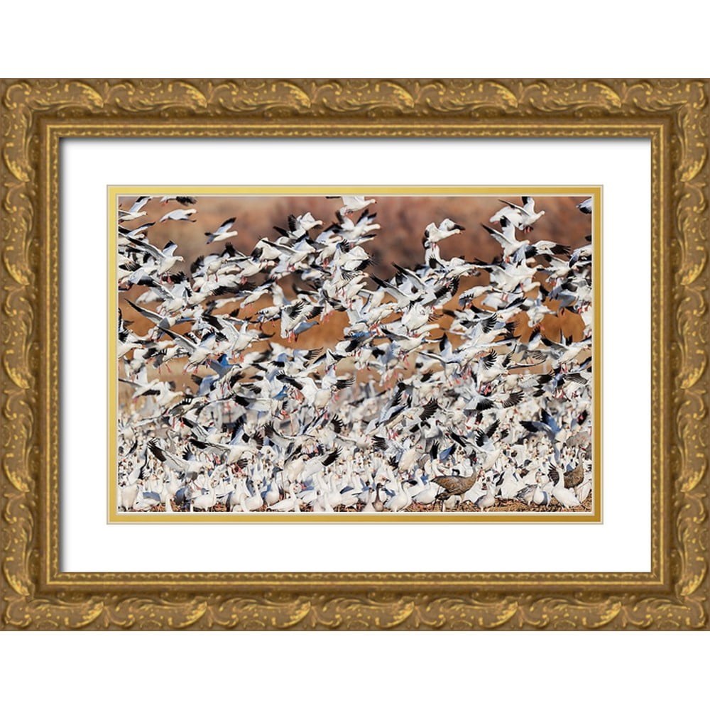 Jones, Adam 14x11 Gold Ornate Wood Framed with Double Matting Museum ...