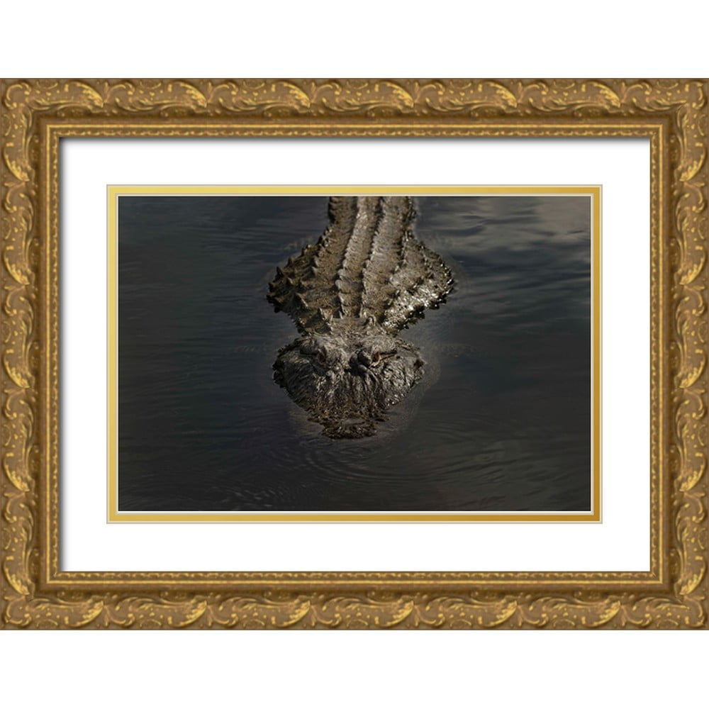 Jones, Adam 14x11 Gold Ornate Wood Framed with Double Matting Museum ...