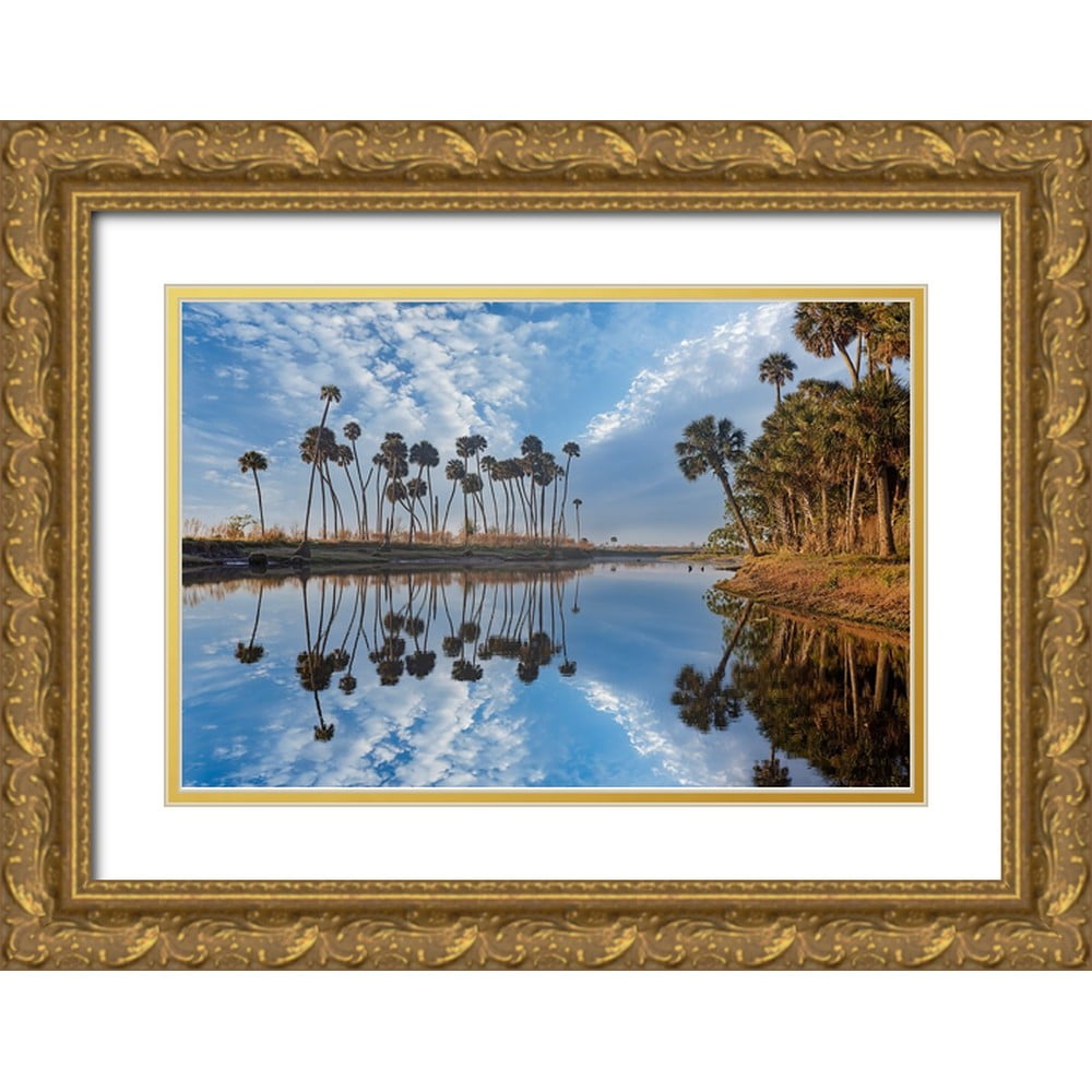 Jones, Adam 14x11 Gold Ornate Wood Framed with Double Matting Museum ...
