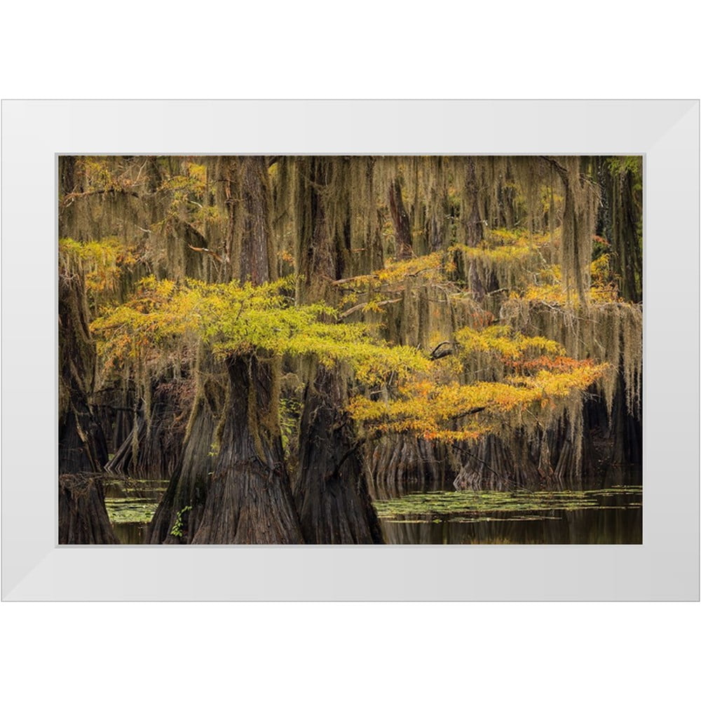 Jones, Adam 14x11 White Modern Wood Framed Museum Art Print Titled ...