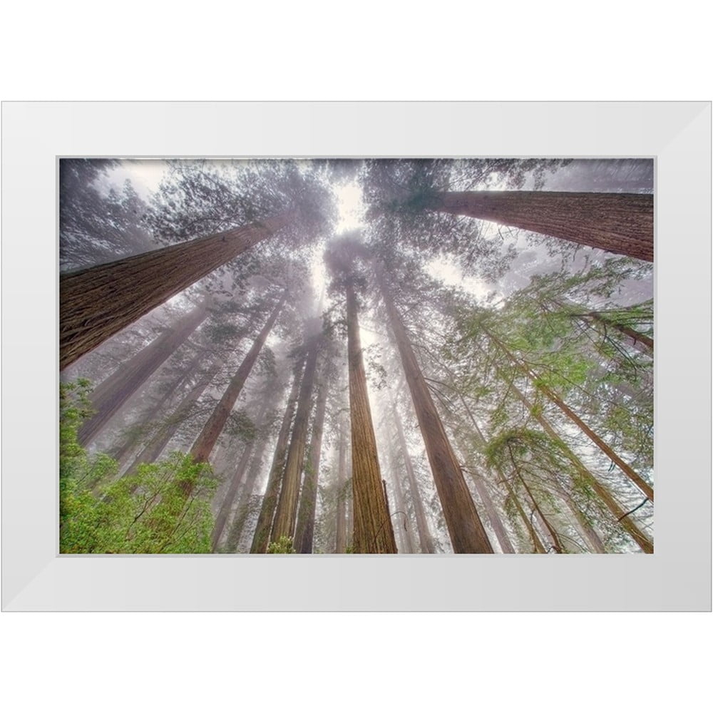 Jones, Adam 14x11 White Modern Wood Framed Museum Art Print Titled ...