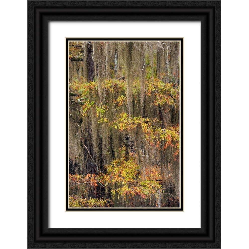 Jones, Adam 17x24 Black Ornate Wood Framed with Double Matting Museum Art Print Titled - Bald ...