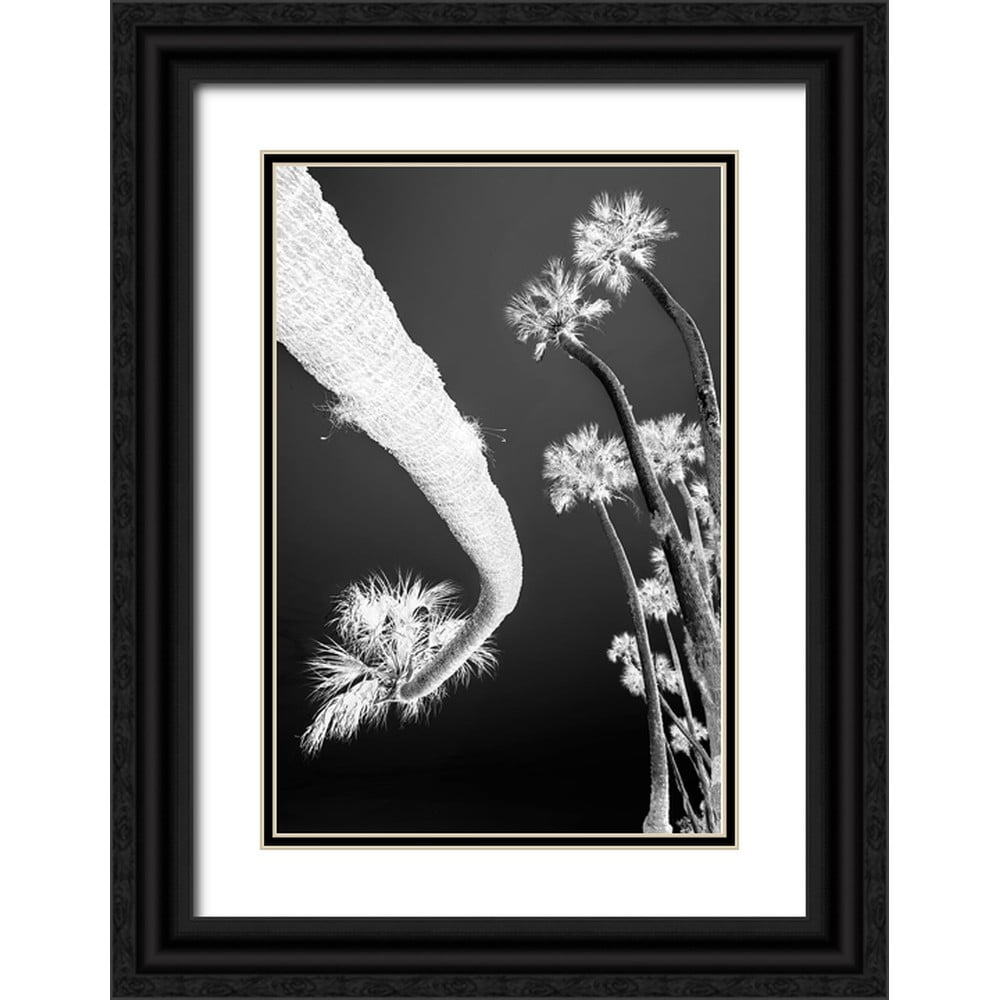 Jones, Adam 17x24 Black Ornate Wood Framed with Double Matting Museum ...