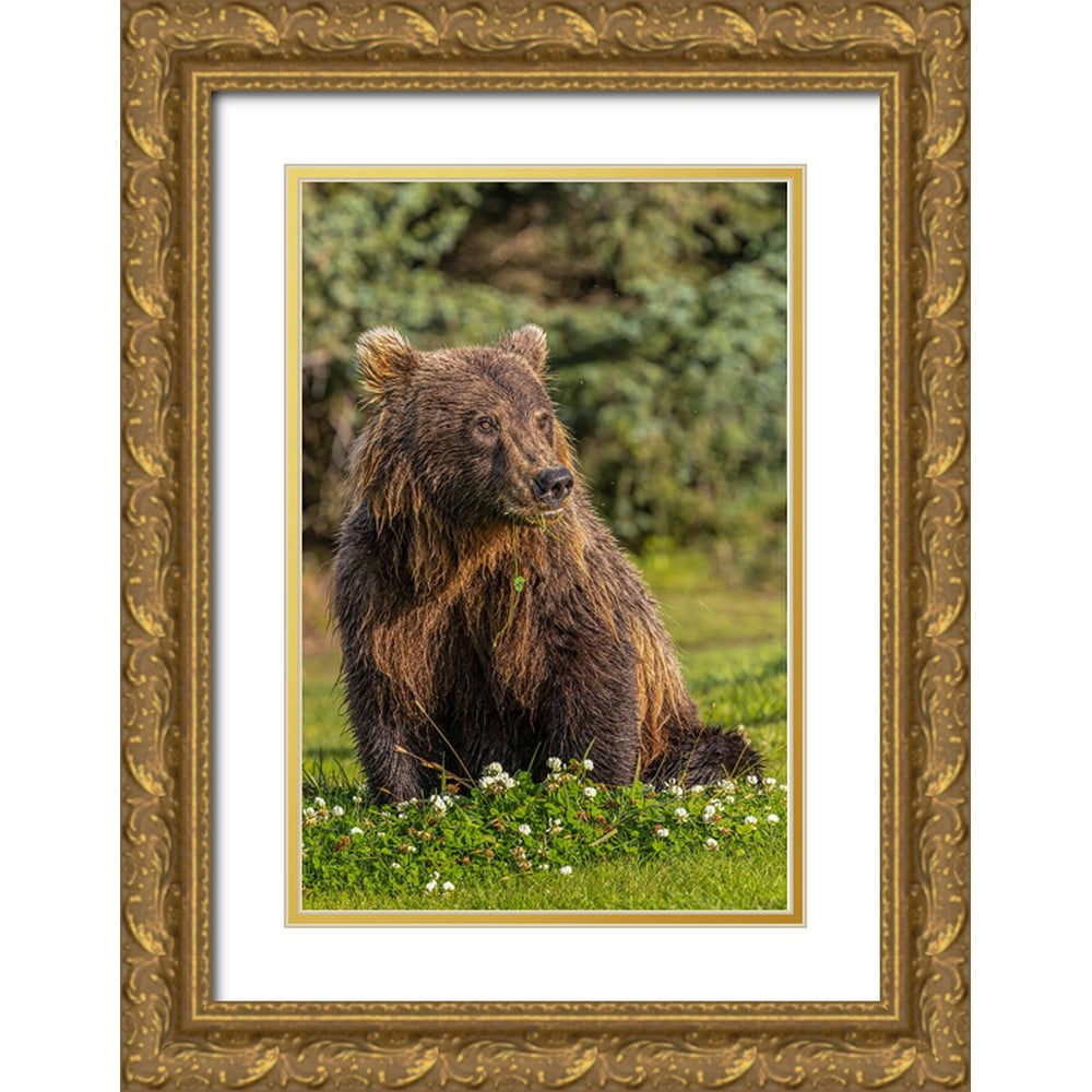 Jones, Adam 17x24 Gold Ornate Wood Framed with Double Matting Museum ...