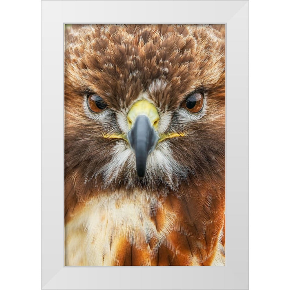 Jones, Adam 17x24 White Modern Wood Framed Museum Art Print Titled ...