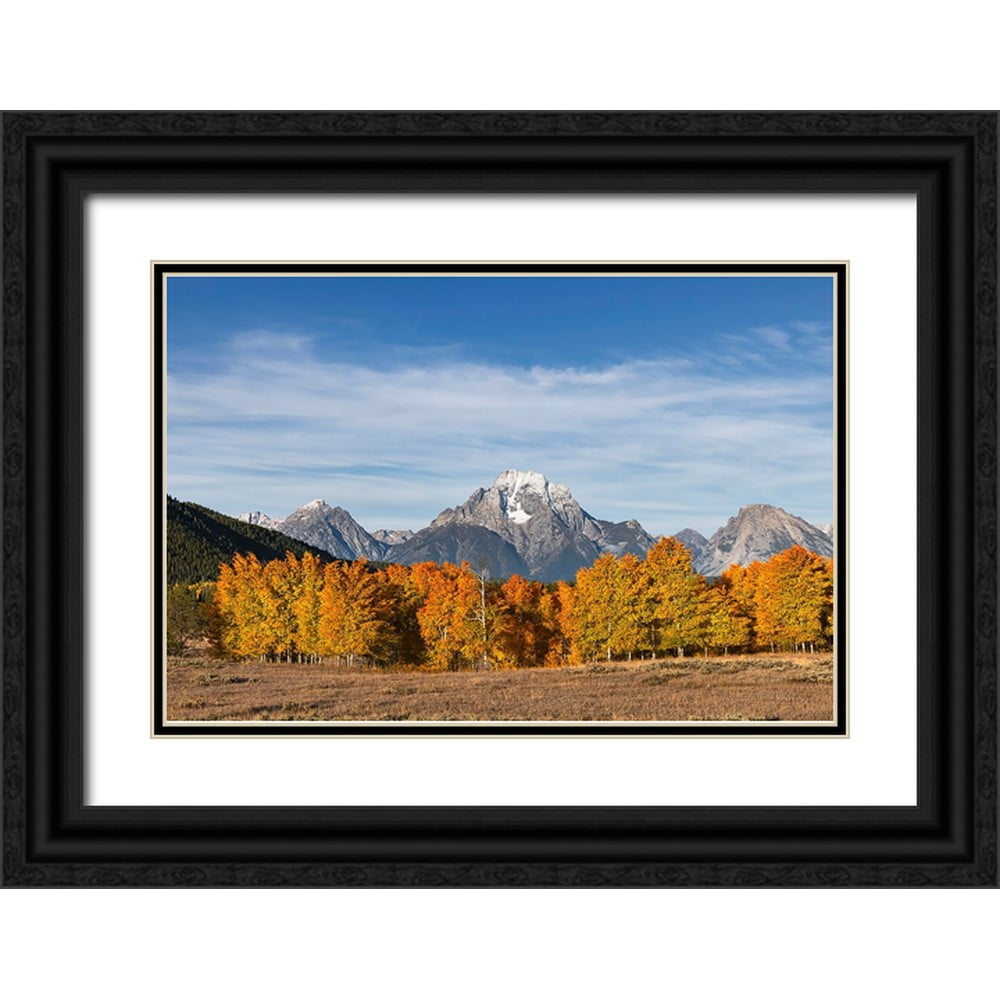 Jones, Adam 18x13 Black Ornate Wood Framed with Double Matting Museum ...