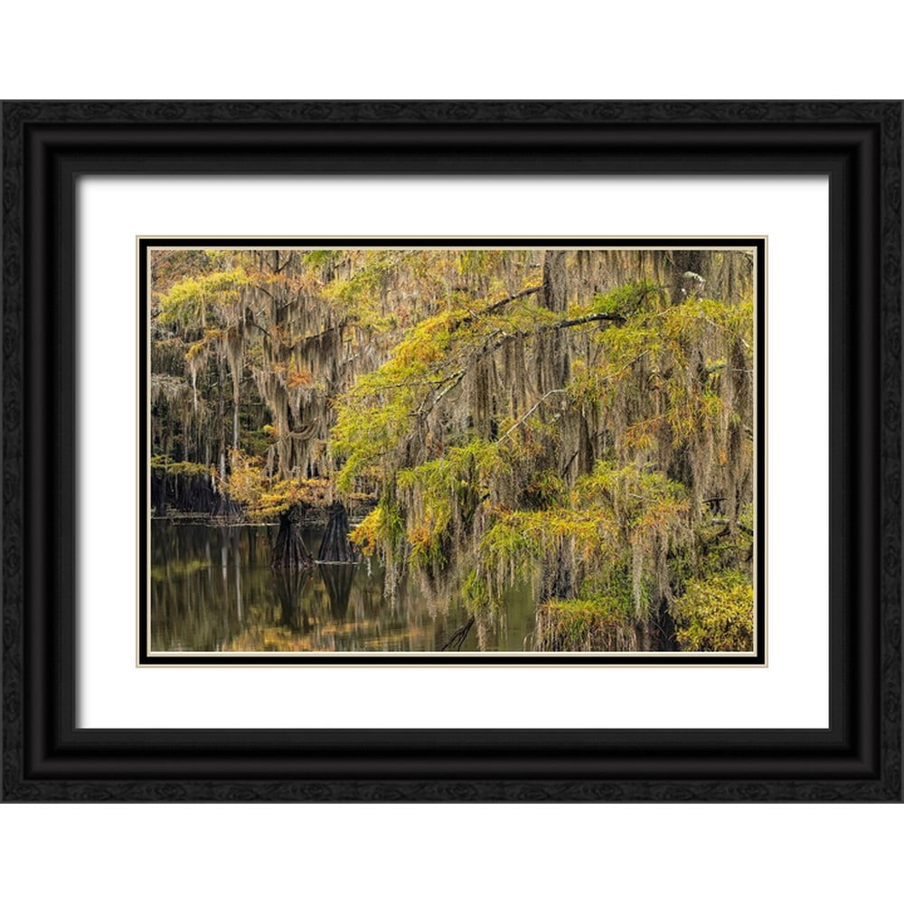 Jones, Adam 18x13 Black Ornate Wood Framed with Double Matting Museum ...