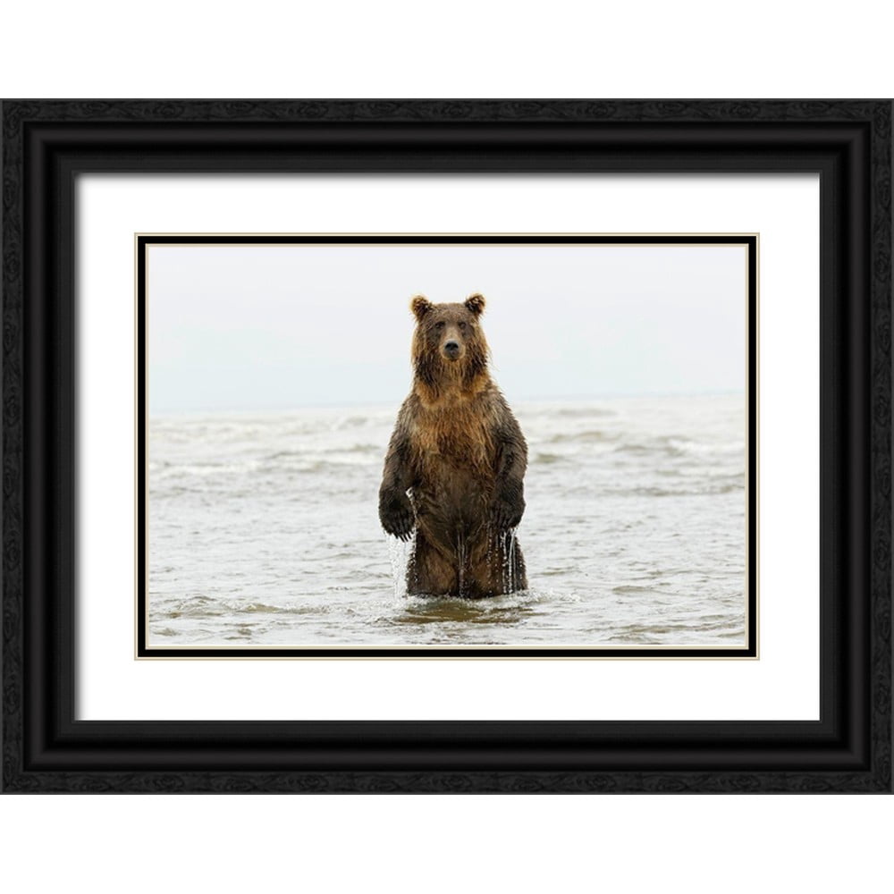 Jones, Adam 18x13 Black Ornate Wood Framed with Double Matting Museum ...