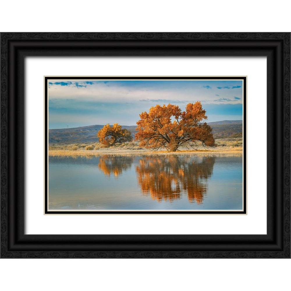 Jones, Adam 18x13 Black Ornate Wood Framed with Double Matting Museum ...