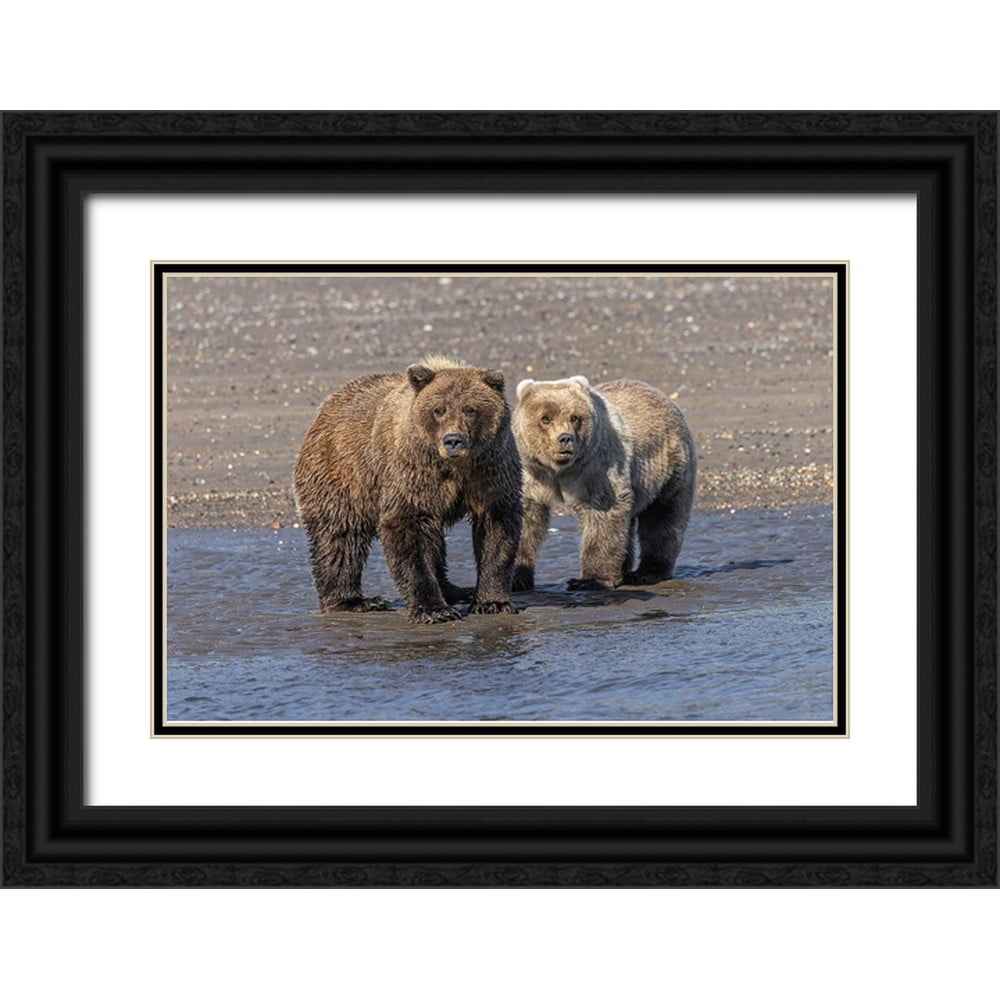 Jones, Adam 18x13 Black Ornate Wood Framed with Double Matting Museum ...