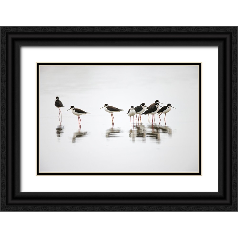 Jones, Adam 18x13 Black Ornate Wood Framed with Double Matting Museum ...