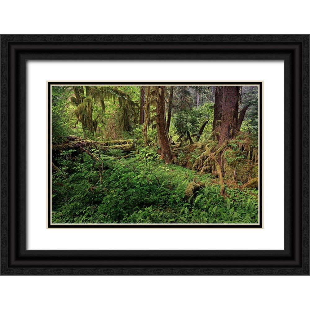 Jones, Adam 18x13 Black Ornate Wood Framed with Double Matting Museum ...