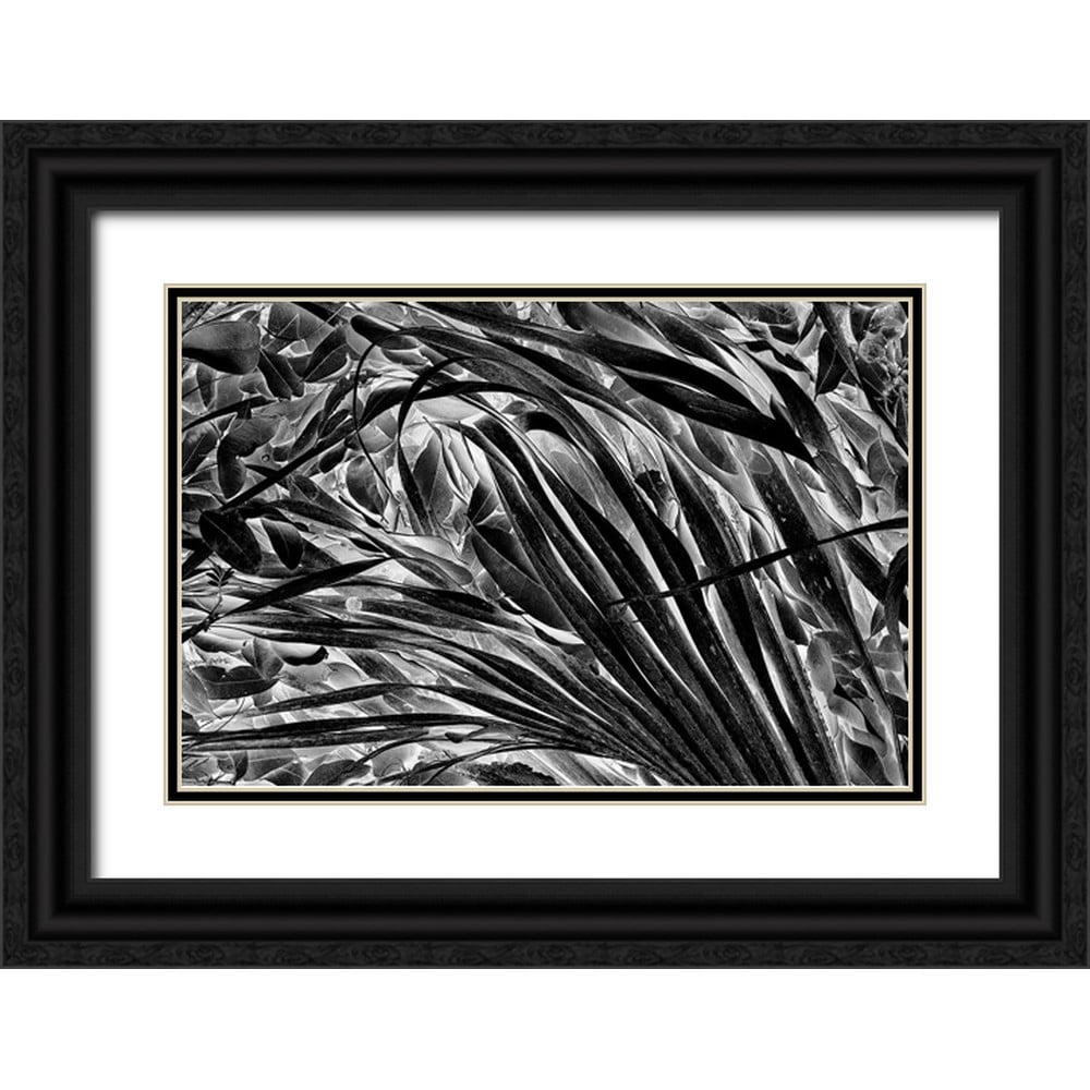 Jones, Adam 18x13 Black Ornate Wood Framed with Double Matting Museum ...