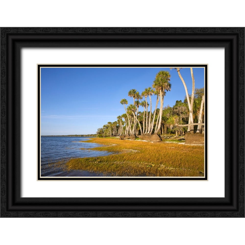 Jones, Adam 18x13 Black Ornate Wood Framed with Double Matting Museum ...