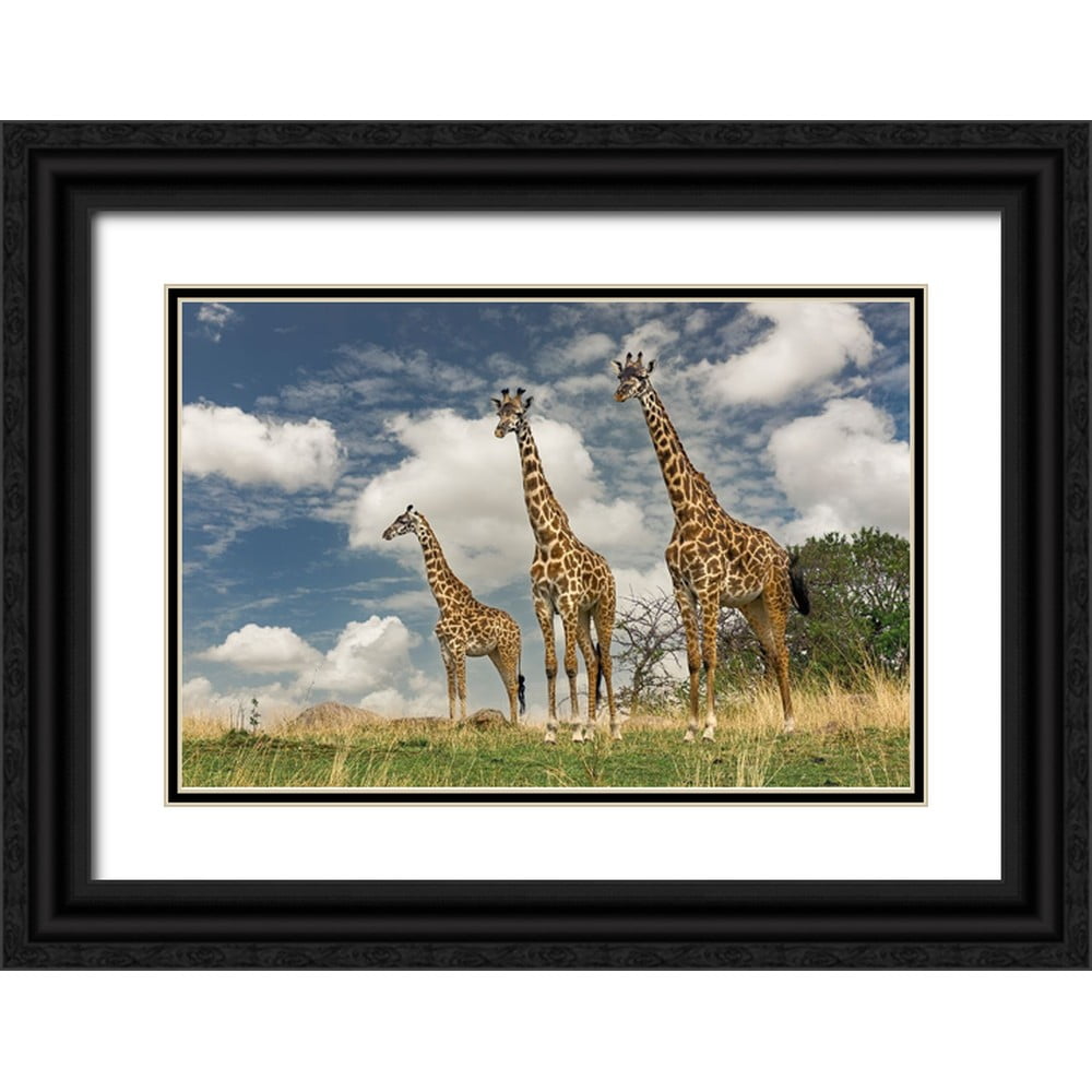 Jones, Adam 18x13 Black Ornate Wood Framed with Double Matting Museum ...