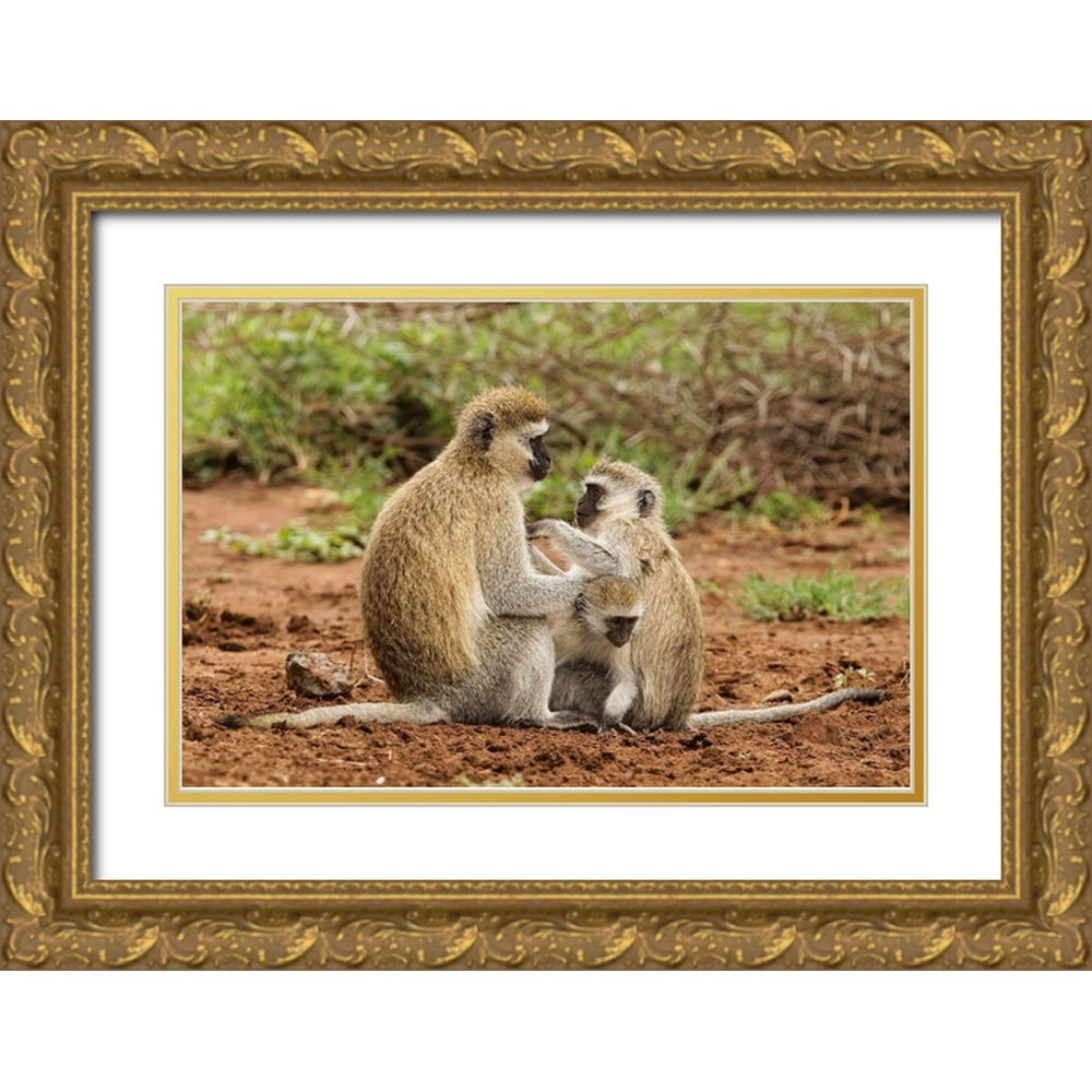 Jones, Adam 18x13 Gold Ornate Wood Framed with Double Matting Museum ...