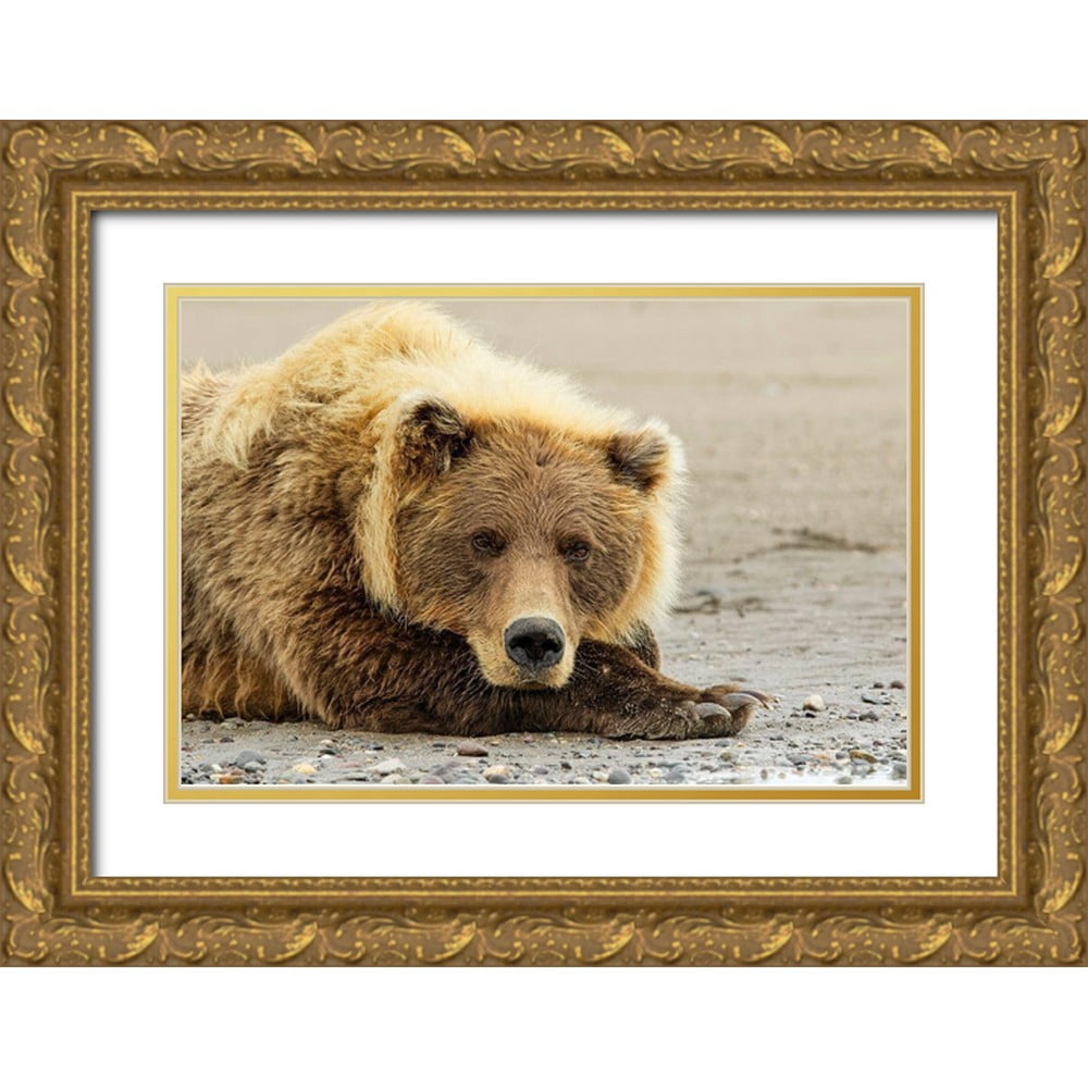 Jones, Adam 18x13 Gold Ornate Wood Framed with Double Matting Museum ...