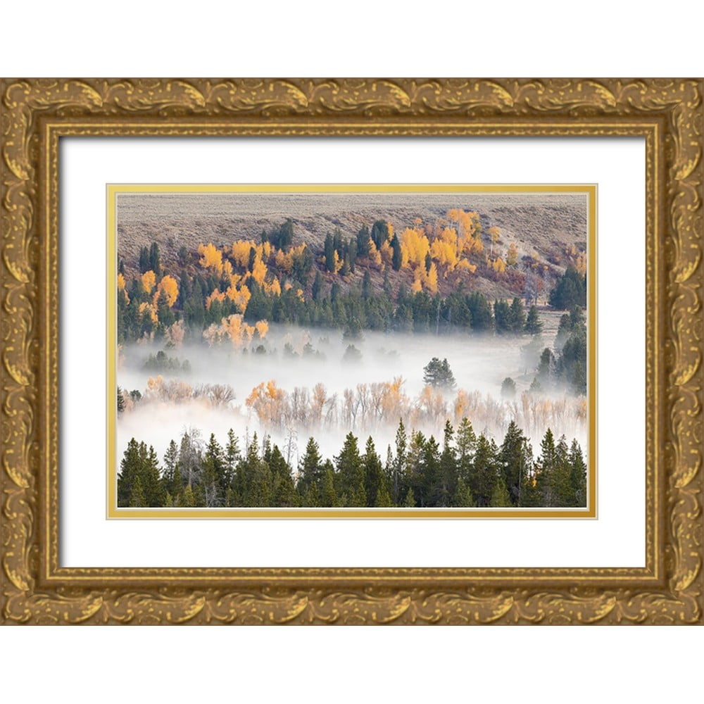 Jones, Adam 18x13 Gold Ornate Wood Framed with Double Matting Museum Art Print Titled - Elevated ...