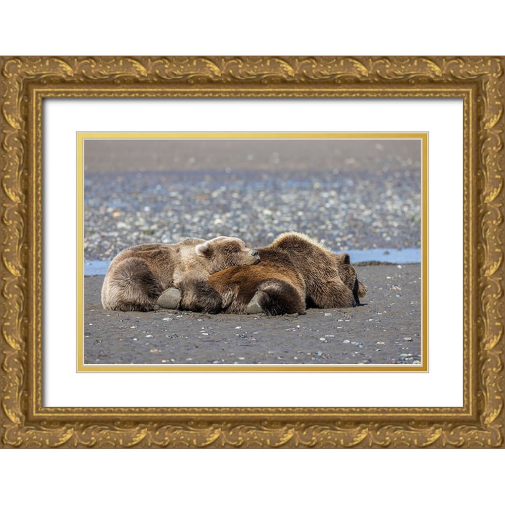 Jones, Adam 18x13 Gold Ornate Wood Framed with Double Matting Museum ...