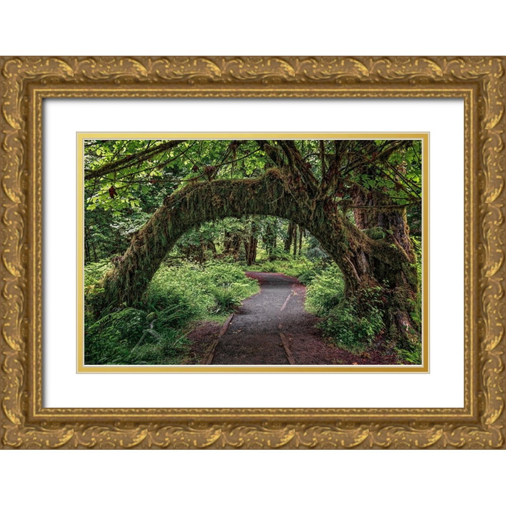 Jones, Adam 18x13 Gold Ornate Wood Framed with Double Matting Museum ...